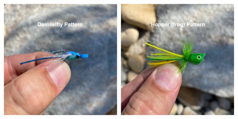 Fly Fishing for Smallmouth Bass - Flies and Techniques | Sipping Mayflies