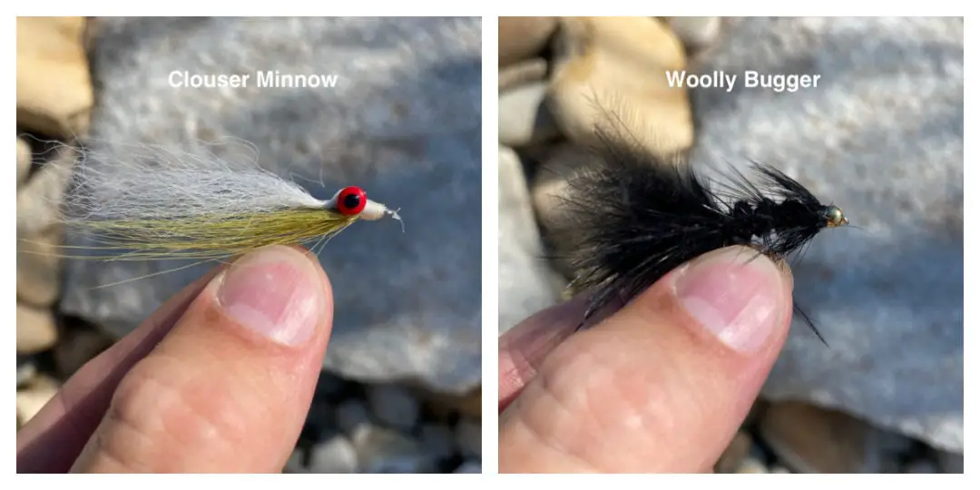 Fly Fishing for Smallmouth Bass - Flies and Techniques | Sipping Mayflies