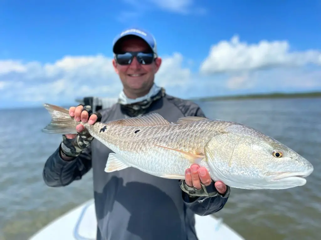 Fly Fishing for Redfish - Tips, Tactics, and Pictures | Sipping Mayflies