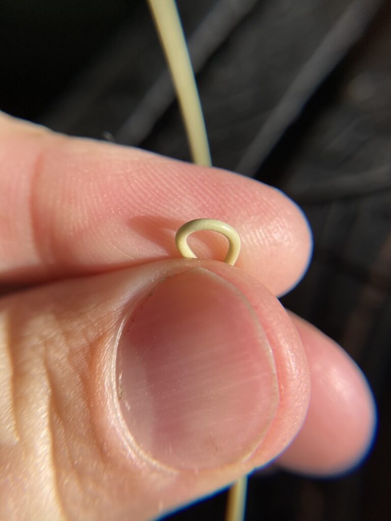 Why your floating fly line sinks - and how to fix it | Sipping Mayflies