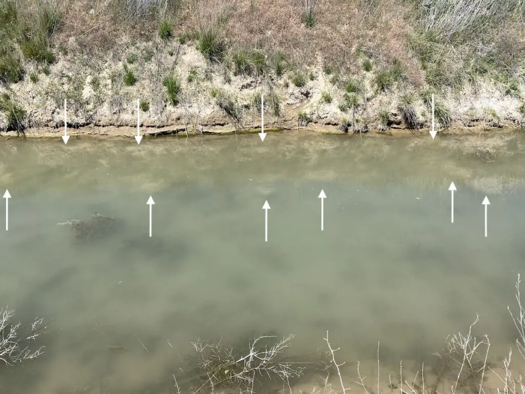 Fly Fishing for Carp | Flies and Tactics